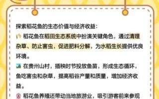 稻花鱼养殖方法_稻花鱼养殖技术要点