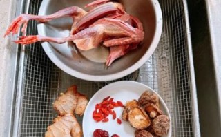 清蒸鸽子怎么做好吃_家常清蒸鸽子的做法 清蒸鸽子怎么做好吃_家常清蒸鸽子的做法