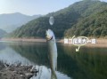 马口鱼用什么路亚饵好_马口鱼路亚饵推荐