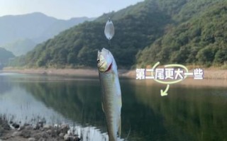 马口鱼用什么路亚饵好_马口鱼路亚饵推荐