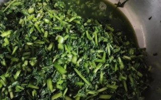 雪里红怎么腌制_雪里红咸菜做法