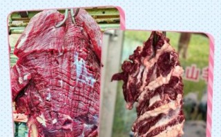 水牛肉的功效与作用_水牛肉的禁忌有哪些