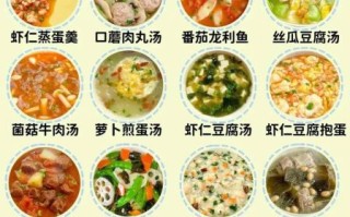 儿童营养餐的做法大全_如何搭配儿童营养餐