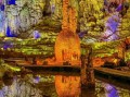 贵州毕节旅游景点大全_毕节最值得去的地方有哪些