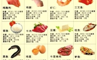 食物营养成分表大全_哪些食物蛋白质高