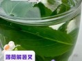 薄荷叶泡水有什么副作用_薄荷叶泡水禁忌人群