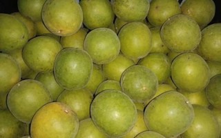 罗汉果贵吗_多少钱一斤