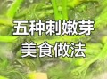 刺嫩芽怎么做好吃_刺嫩芽的家常做法