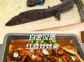 娃娃鱼怎么做好吃_娃娃鱼的家常做法