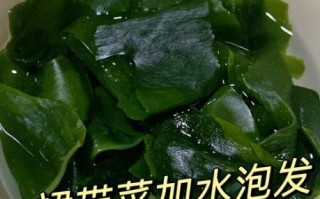 裙带菜煮汤怎么做_裙带菜汤的做法大全