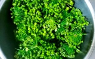 腌韭菜花的做法大全_韭菜花怎么腌制才脆爽