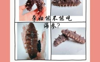 孕妇可以吃海参吗_怀孕吃海参的好处与禁忌