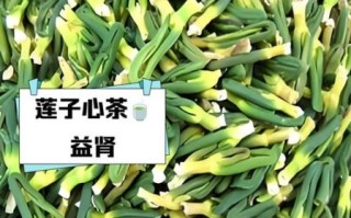 莲子心可以长期泡水喝吗_莲子心泡水副作用