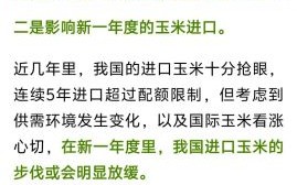 粮价大涨马上就要来了_普通人如何提前应对