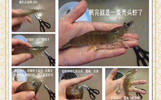 大虾怎么去虾线_虾线清理最简单方法