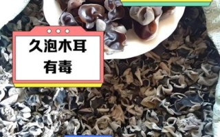炒熟的木耳隔夜能吃吗_木耳中毒真相