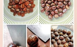 板栗怎么煮好剥壳又好吃_板栗煮多久才软糯香甜