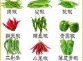 辣椒品种大全及图片名称_如何区分辣椒种类
