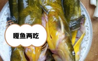 野生嘎鱼多少钱一斤_哪里能买到正宗野生嘎鱼