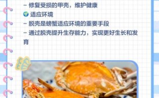 螃蟹在剥我的壳是什么意思_网络梗三层含义解析