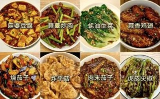 硬菜有哪些_100道硬菜怎么做