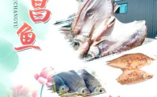 武昌鱼为什么出名_武昌鱼诗句有哪些