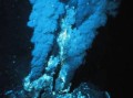海底9万米有多恐怖_深海最深处压力有多大