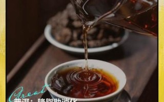 喝普洱茶的好处有哪些_普洱茶怎么喝才健康