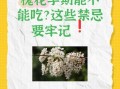 孕妇晚期能吃槐花吗_槐花对胎儿有影响吗