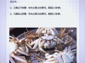 蒸螃蟹大约几分钟_冷水还是热水下锅