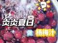 杨梅怎么榨汁_杨梅榨汁要不要去核