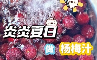 杨梅怎么榨汁_杨梅榨汁要不要去核