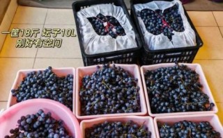如何在家自酿葡萄酒_自酿葡萄酒需要哪些材料