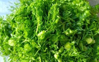 茴香苗饺子馅怎么调_茴香苗饺子馅的做法窍门