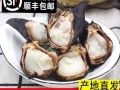 青菱角图片大全_青菱角怎么做好吃