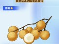 孕妇能吃龙眼吗_孕早期吃龙眼会流产吗