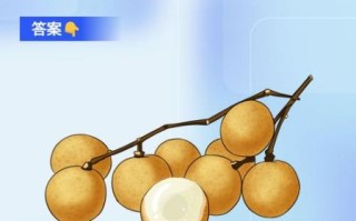 孕妇能吃龙眼吗_孕早期吃龙眼会流产吗