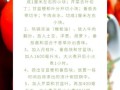 罗宋汤怎么做_正宗罗宋汤需要哪些食材