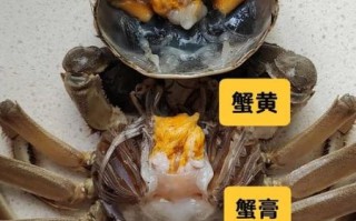 螃蟹内脏图解高清_哪些部位不能吃