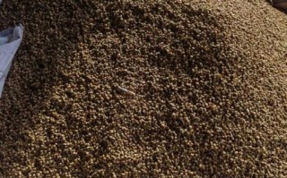 覆盆子多少钱一斤_覆盆子价格走势