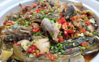 鲶鱼怎么做好吃_鲶鱼最好吃的做法视频