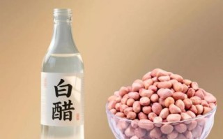 醋泡花生的功效与作用_一天吃多少合适