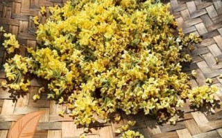 桂花干制作怎么不变黑_桂花干保存不发黑技巧