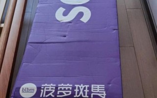 菠萝斑马和蓝盒子哪个好_区别在哪