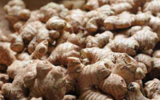 十月茄子赛砒霜_是真的吗