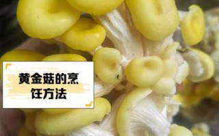 黄金菇的功效与作用_黄金菇怎么吃效果最好