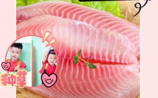鲷鱼片怎么做好吃_鲷鱼片适合宝宝吃吗