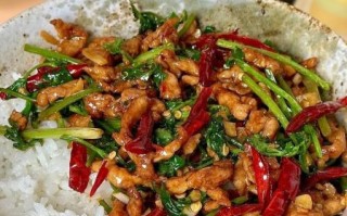 香辣肉丝盖浇饭怎么做_香辣肉丝盖浇饭家常做法