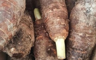 香芋图片大全大图_香芋高清壁纸怎么找