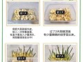蒜苗怎么种_蒜苗几天发芽